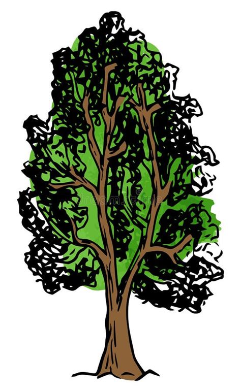 Deciduous Tree Sketched By Hand Stock Vector Illustration Of Foliage