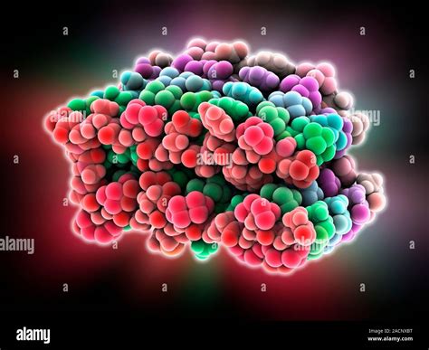 Amyloid Plaques Pronunciation At Don Pursel Blog