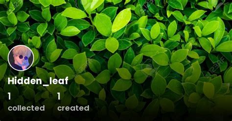 Hiddenleaf Profile Opensea