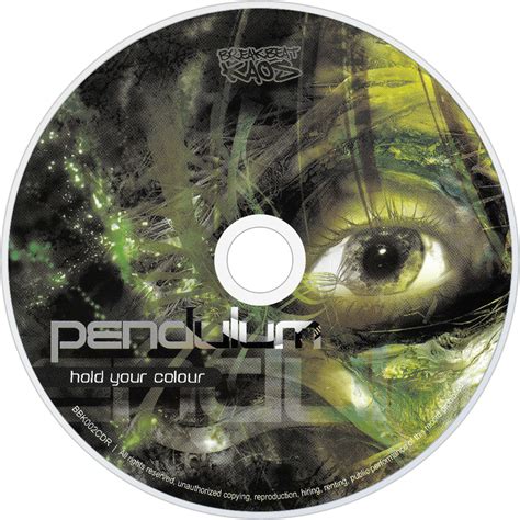 Pendulum Hold Your Colour