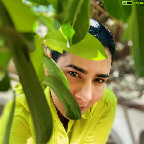 Geetika Vidya Wiki Biography Age Gallery Spouse And More