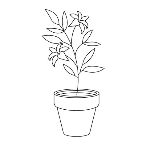 Premium Vector Home Plant In A Pot Vector Illustration