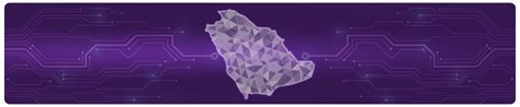 استشارات التحول الرقمي Evc