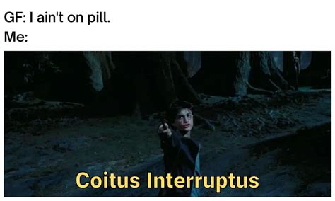 Coitus Interruptus Meme Ft Harry Potter