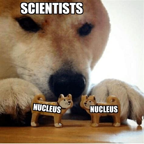 Thats How Nuclear Fusion Works Rsciencememes