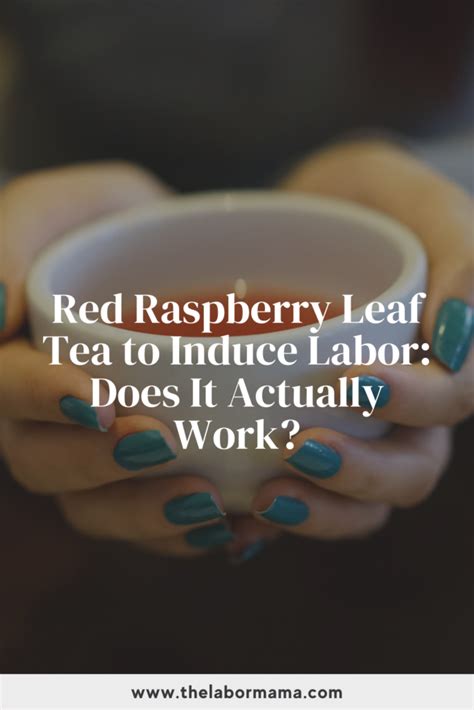 Red Raspberry Leaf Tea To Induce Labor What You Need To Know Before You Sip