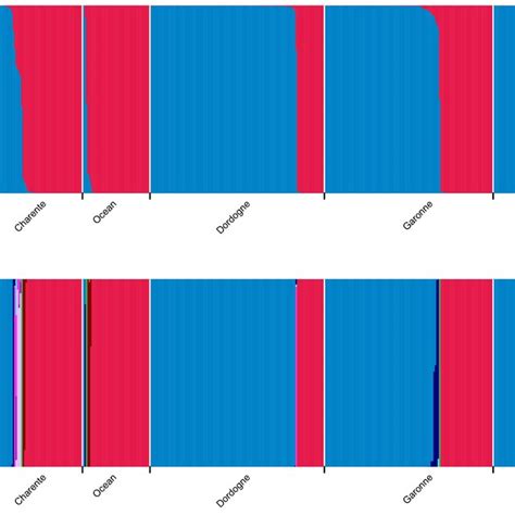 genetic clustering using structure assuming two genetic clusters top