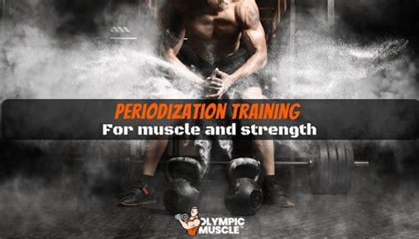 Periodization Training For Muscle And Strength