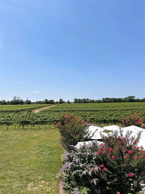 Gallery — Croteaux Vineyards