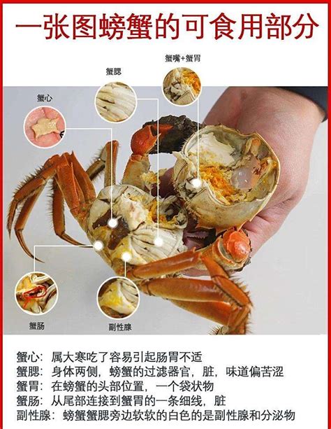螃蟹不能吃的部位图解
