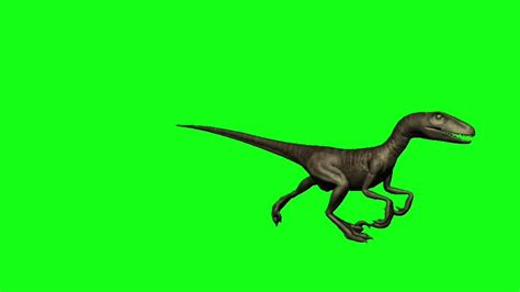 Green Screen Youtube