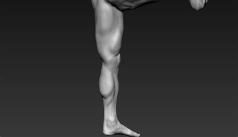 Male Full Body Sculpt Pose 19 3d Model By Grihaos001