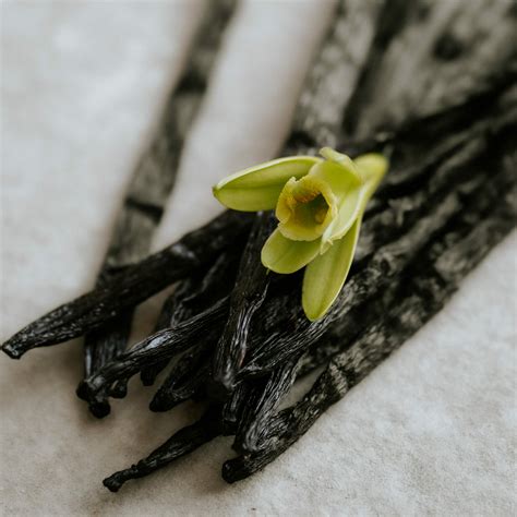 Vanilla Bulk Villa Vanilla Rainforest Spices