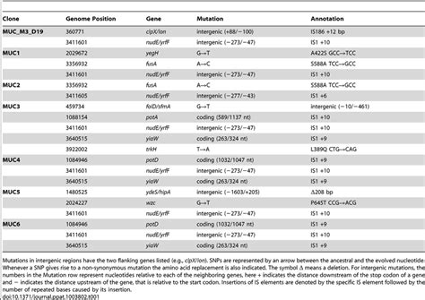 Mutations Acquired By Evolved Clones Identified Through Whole Genome