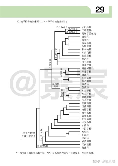 植物系统发生树及植物演化1 知乎