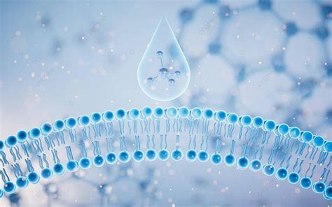 Cell Membrane With Blue Background3d Rendering Plasmalemma Medical