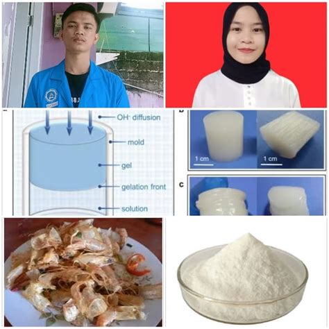 Hidrogel Kitosan Sebagai Obat Luka Metro Indonesia