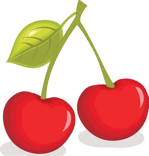 さくらんぼ イラスト フリーイラスト素材「いらすとやjp」