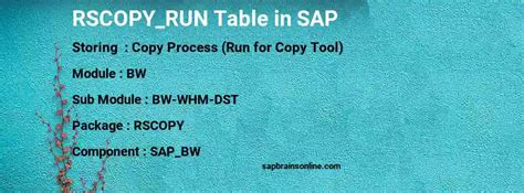 Rscopyrun Sap Table For Copy Process Run For Copy Tool