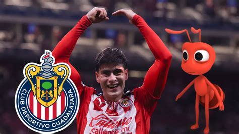 ¡oficial Se Revela La Duda Que Todos Querían Saber En Chivas ¿por Qué