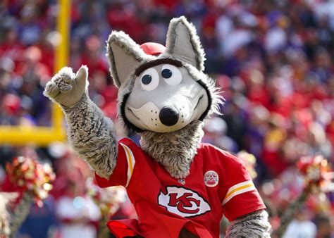 Which Of These Nfl Mascots Is Your Favorite