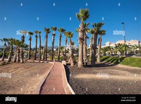 Urban Park In Alcala Village Suth Tenerife Island Canary Islands
