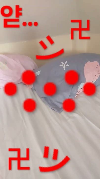 얃 Youtube