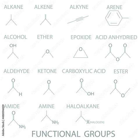 15 Functional Groups Molecular Skeletal Formula Stock Vector Adobe Stock