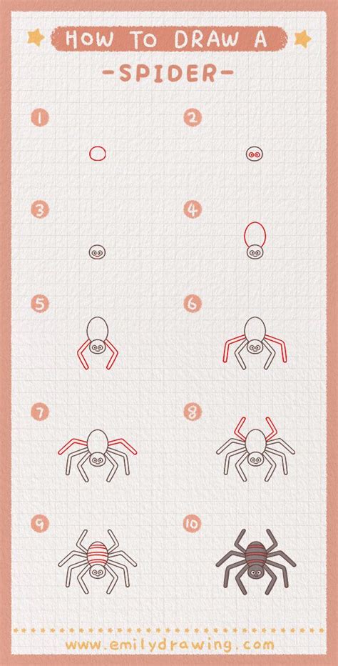 Setp By Step Tutorial On How To Draw A Spider FREE Download The