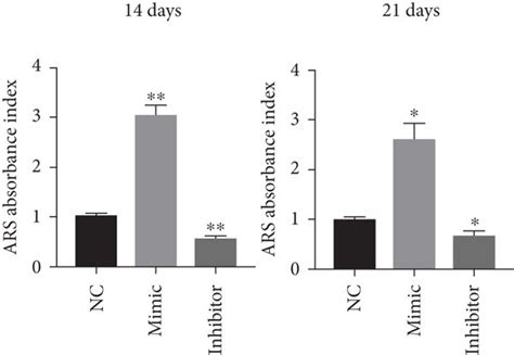 Mir 129 5p Promoted Osteoblast Differentiation Of Bmscs Bmscs Were