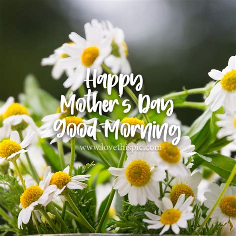 130 Good Morning Wishes On Mothers Day With Images Good Morning Wishes