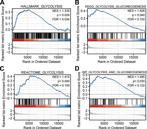 Gene Set Enrichment Analysis Gsea Analysis Ad Gsea Showed That The