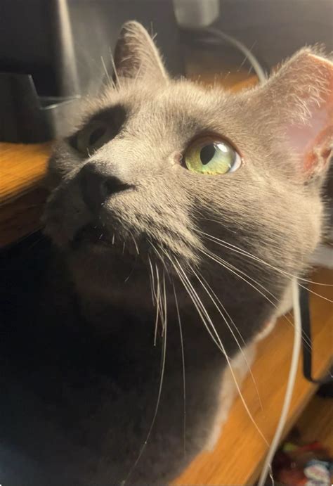 Daily Snick Pic 291 Album On Imgur