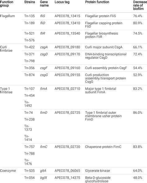 Identication Of Tn5 Transposon Insertion Sites Download Scientific