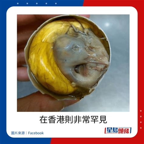 港女狠批上環越南餐廳賣鴨仔蛋「不文明」呼籲抵制 店家2大原因堅持賣 星島日報