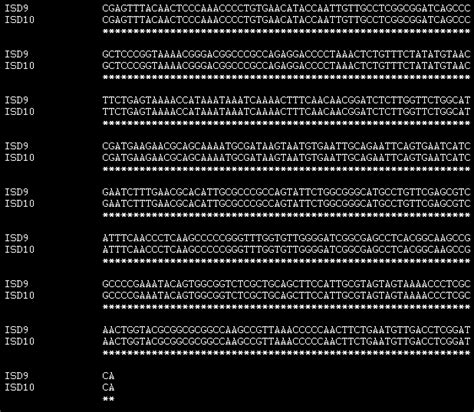 Sequence Alignment Of F Moniliforme Strains Download Scientific Diagram