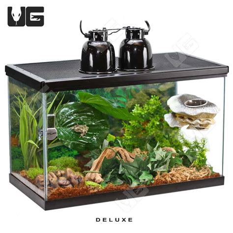Complete 10 Gallon Tree Frog Setup Underground Reptiles