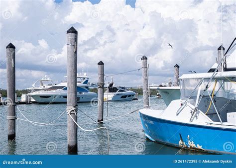 Haulover Park Editorial Image 96101142