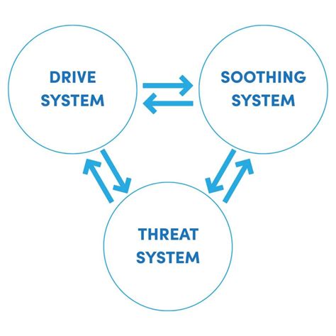3 Emotional Systems As Used In Compassion Focused Therapy Cft