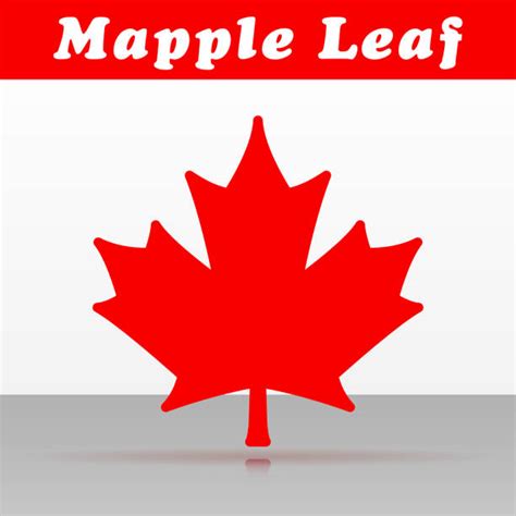60 Mapple Leaf Icon Stock Illustrations Royalty Free Vector Graphics And Clip Art Istock