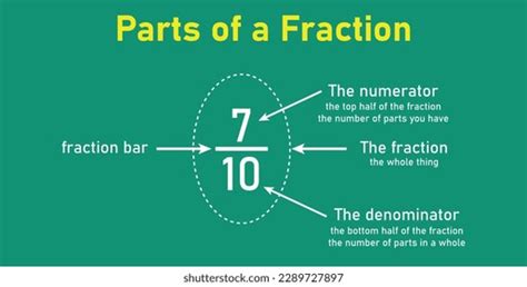Parts Fraction Number Mathematics Numerator Denominator Stock Vector