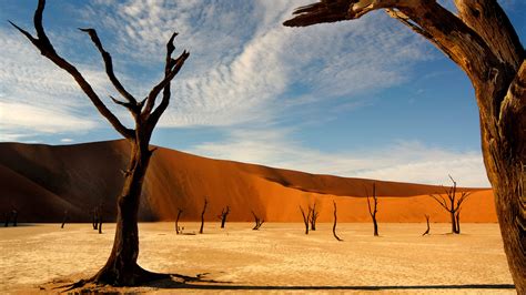 Namibia Reisen Mit Dem Afrika Spezialisten Venter Tours