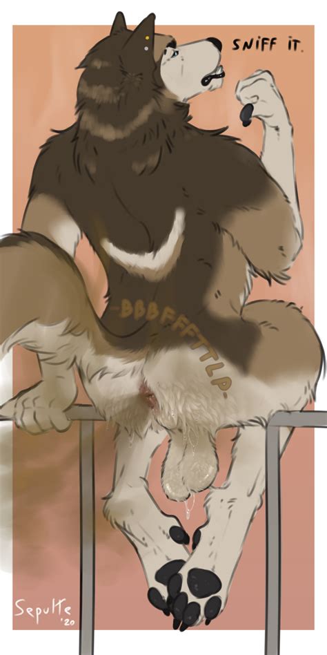 Rule 34 1 2 Anal Musk Anatomically Correct Anatomically Correct Anus Anthro Anus Ass Balls