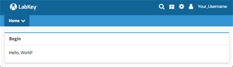 Tutorial Hello World Module Documentation
