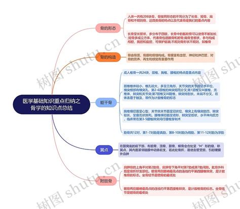 医学基础知识重点归纳之骨学的知识点总结思维导图 编号t822724 Treemind树图