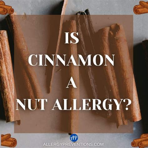 Home Allergy Preventions