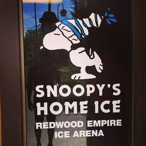 Snoopys Home Ice Snoopy Redwood Charles Schulz Museum