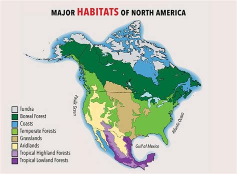 Species Assessment Summary And Watch List State Of North Americas