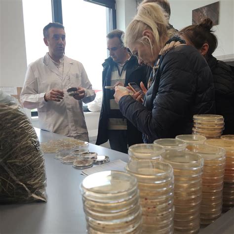 АВСТРІЯ ПРОЄКТ ЕРАЗМУС Uniclad Науково методичний центр ВФПО