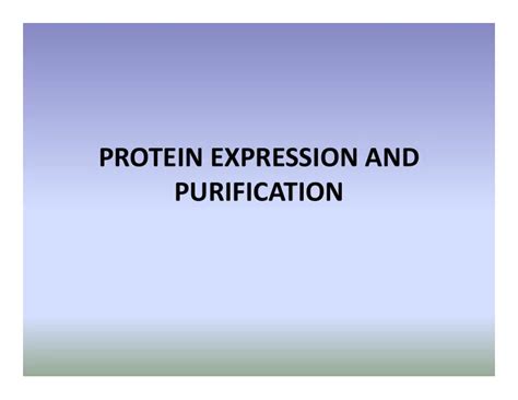 Ppt Protein Expression And Purification Protein Expression And